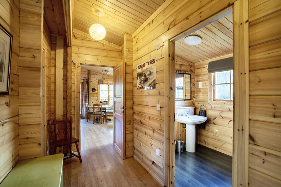 Willowbank Dragonfly